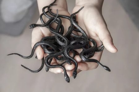 13 Cowboy Party Games and Activities for Kids – SoftHomelife